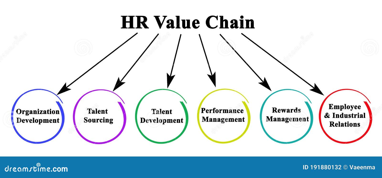 Cadena de valor hr stock de ilustración. Ilustración de desarrollo ...
