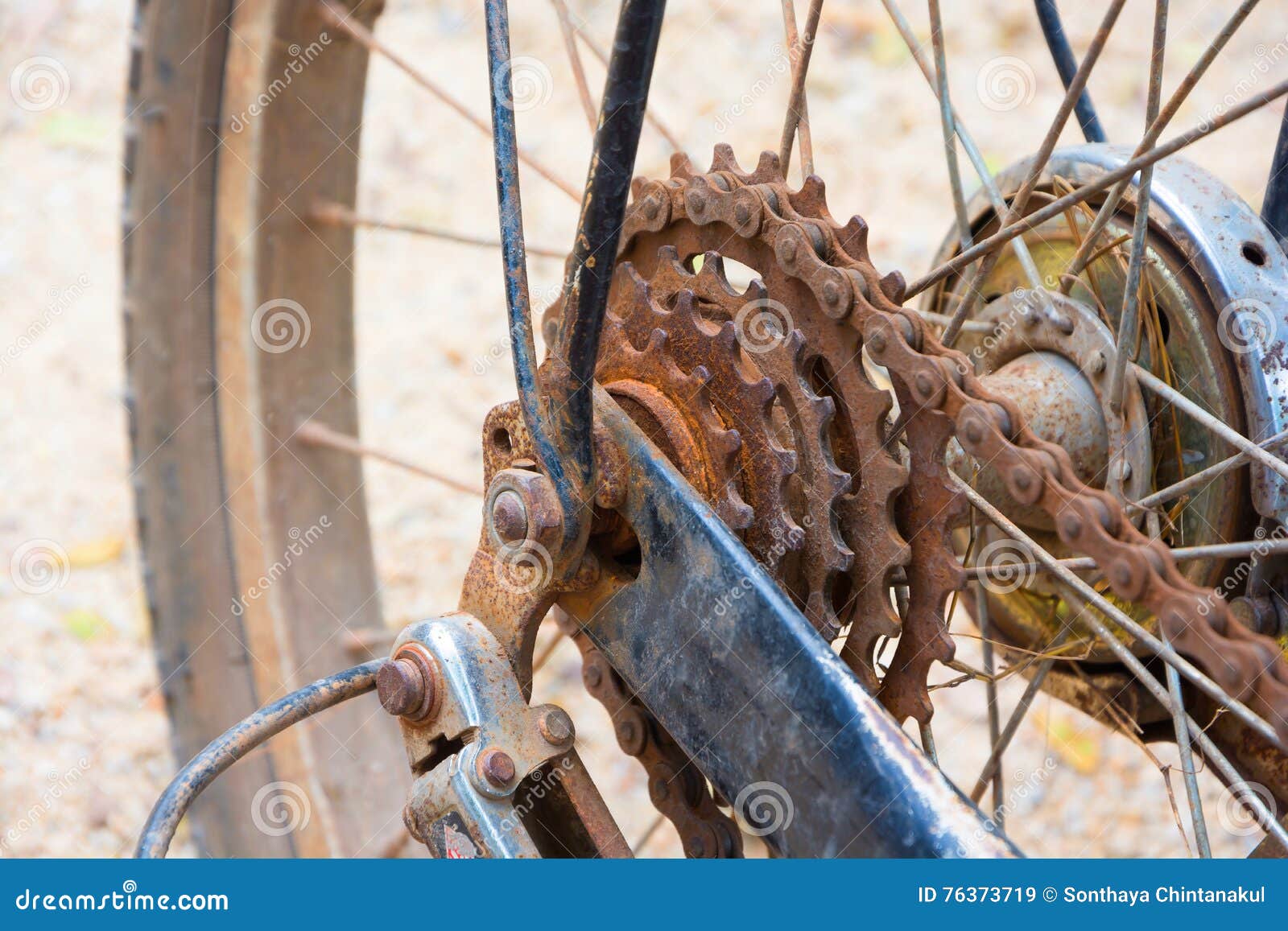 Cadena Oxidada Vieja De La Bicicleta Imagen de archivo - Imagen de ...