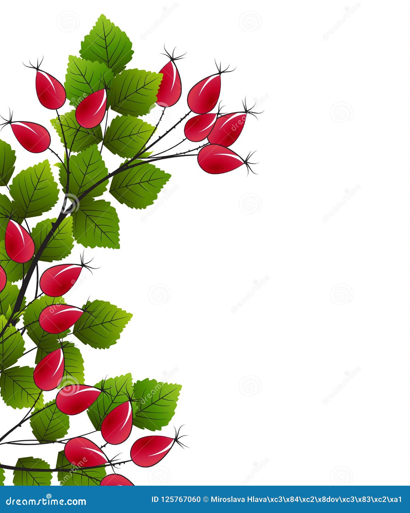 Cadera Color De Rosa Del Vector Ilustración del Vector - Ilustración de ...