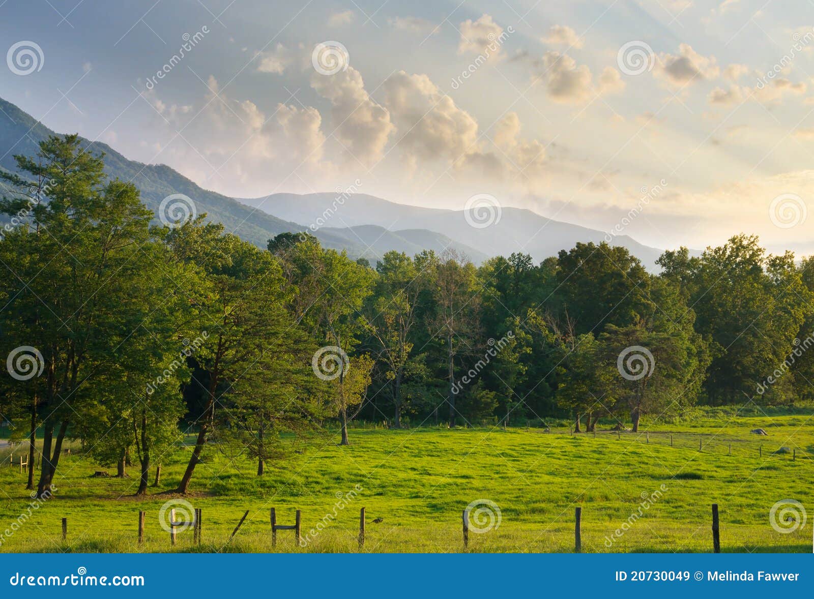Cades Cove stock image. Image of blue, pasture, cades - 20730049