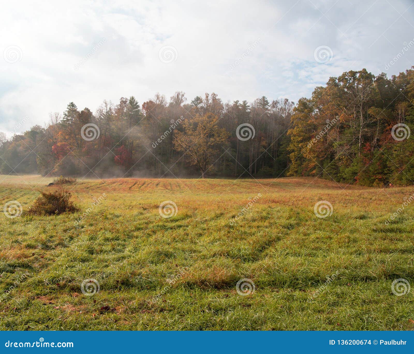 935 Early Morning Hay Field Stock Photos - Free & Royalty-Free Stock ...