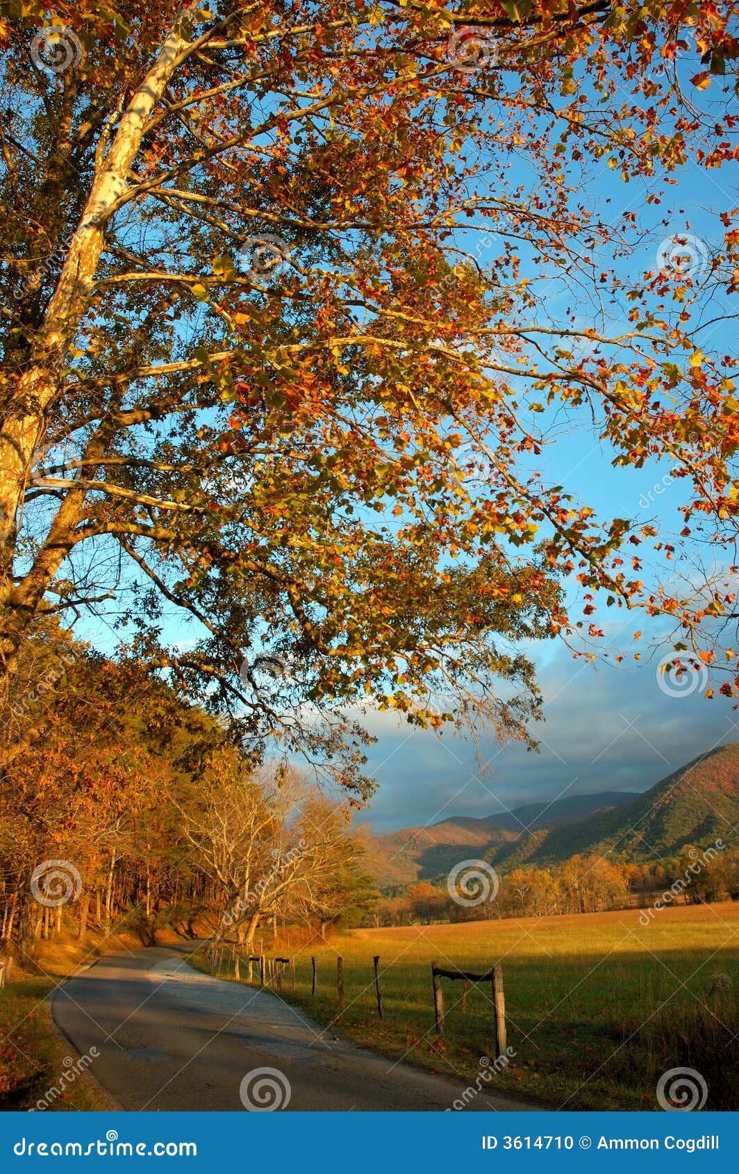 Cades Cove Smoky Mountains East Tennessee Sevierville Pigeon Forge ...