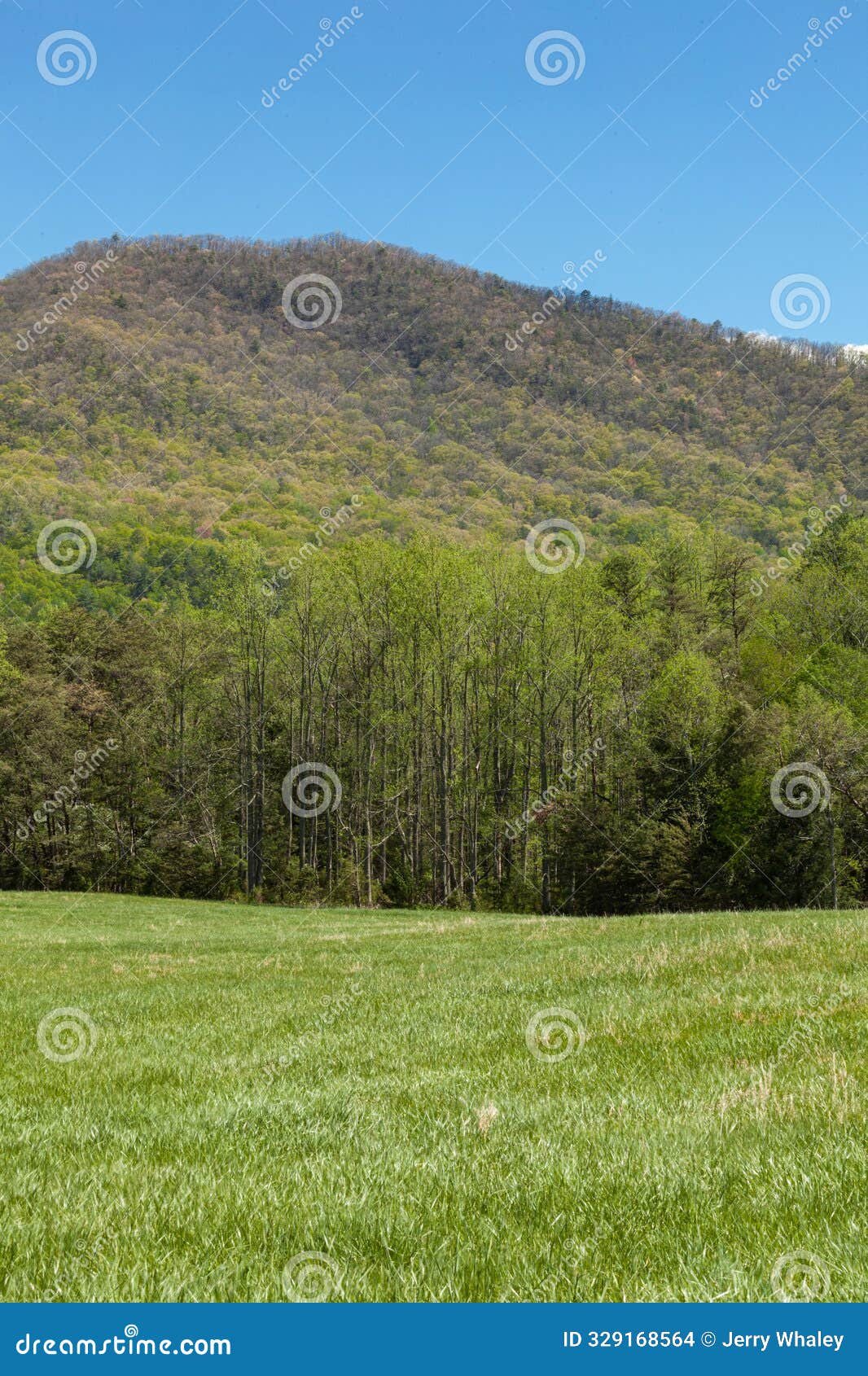 Cades Cove, Spring stock photo. Image of outdoors, seasons - 329168564