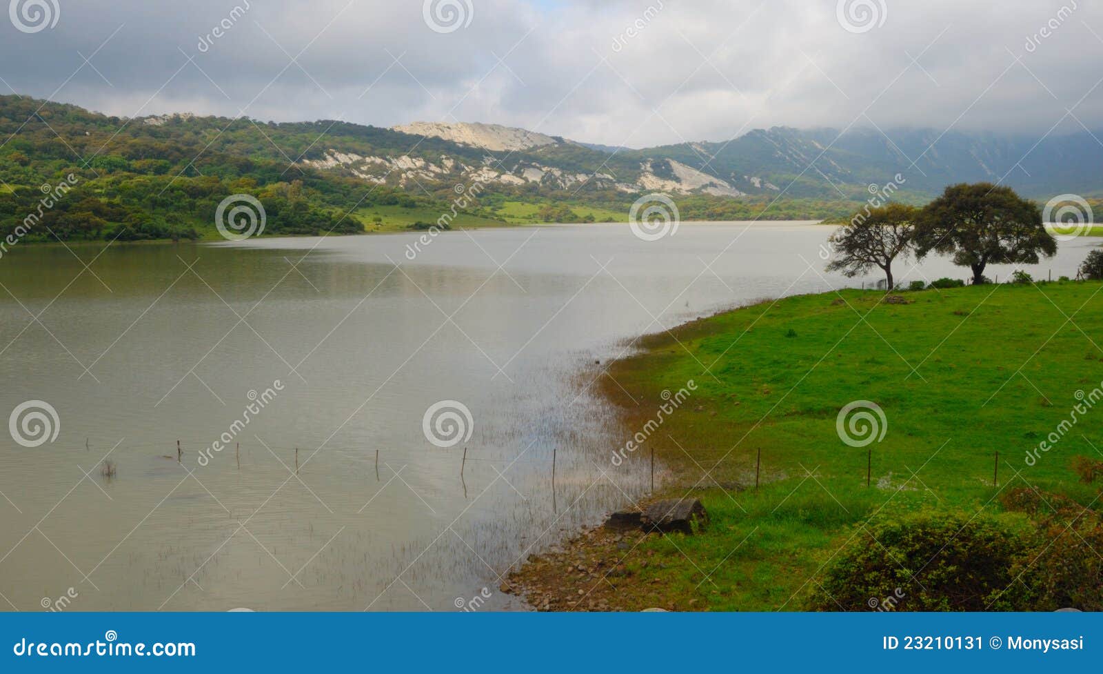 Cadiz lake stock image. Image of green, plant, grass - 23210131