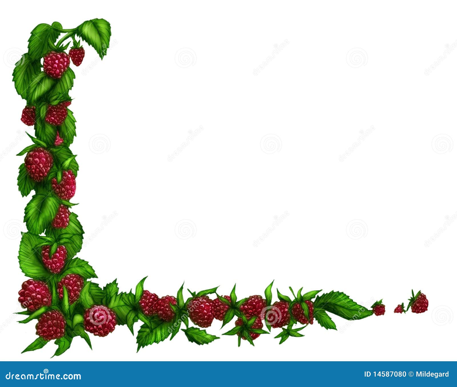 Cadre De Framboise Stock Illustrations, Vecteurs, & Clipart – (1,864 ...