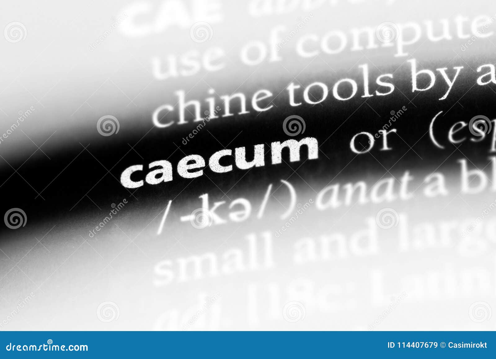 Caecum stock image. Image of printed, macro, closeup - 114407679