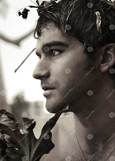 Caesar stock image. Image of features, adult, looking - 7559999