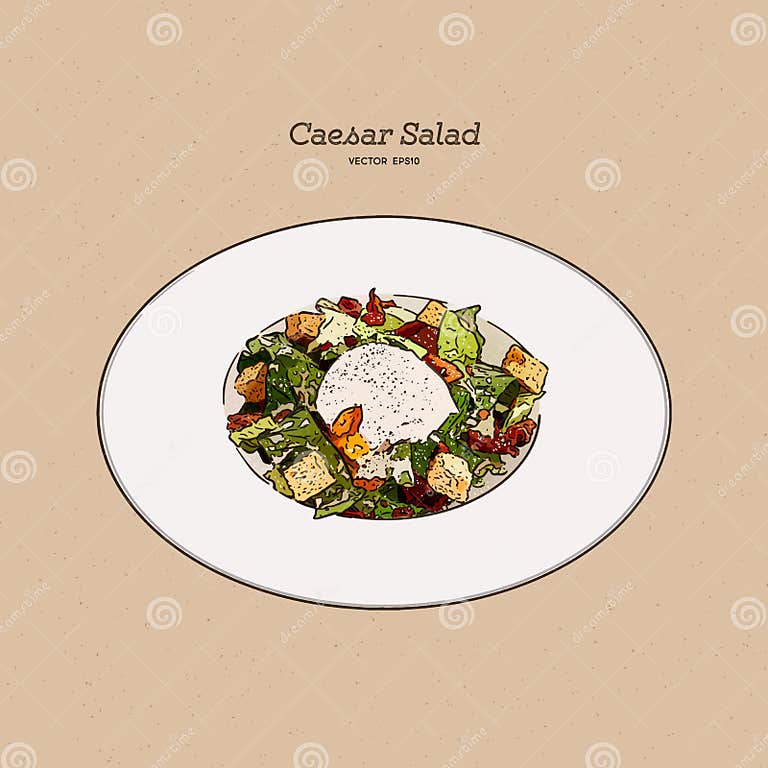 Caesar Salad, Hand Draw Sketch Vector Stock Vector - Illustration of ...