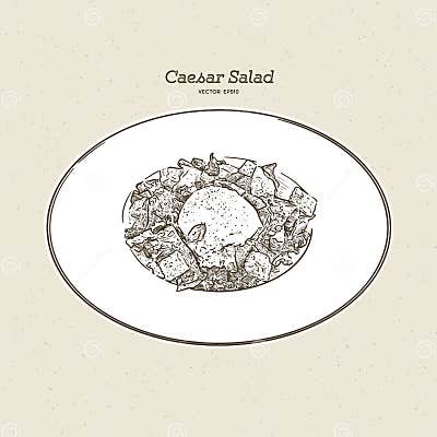 Caesar Salad, Hand Draw Sketch Vector Stock Vector - Illustration of ...