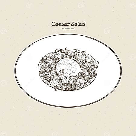 Caesar Salad, Hand Draw Sketch Vector Stock Vector - Illustration of ...