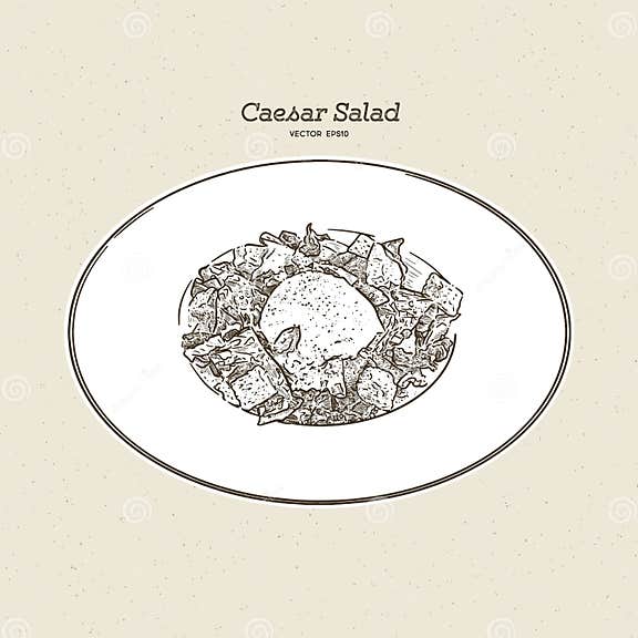 Caesar Salad, Hand Draw Sketch Vector Stock Vector - Illustration of ...