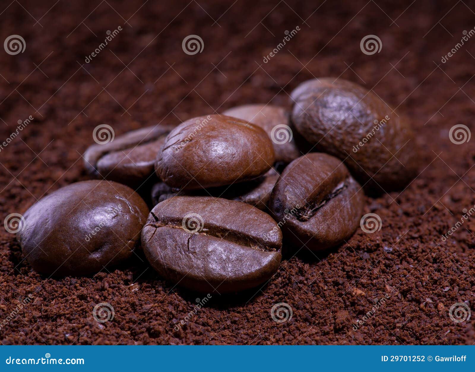 Café en habas foto de archivo. Imagen de agricultura - 29701252