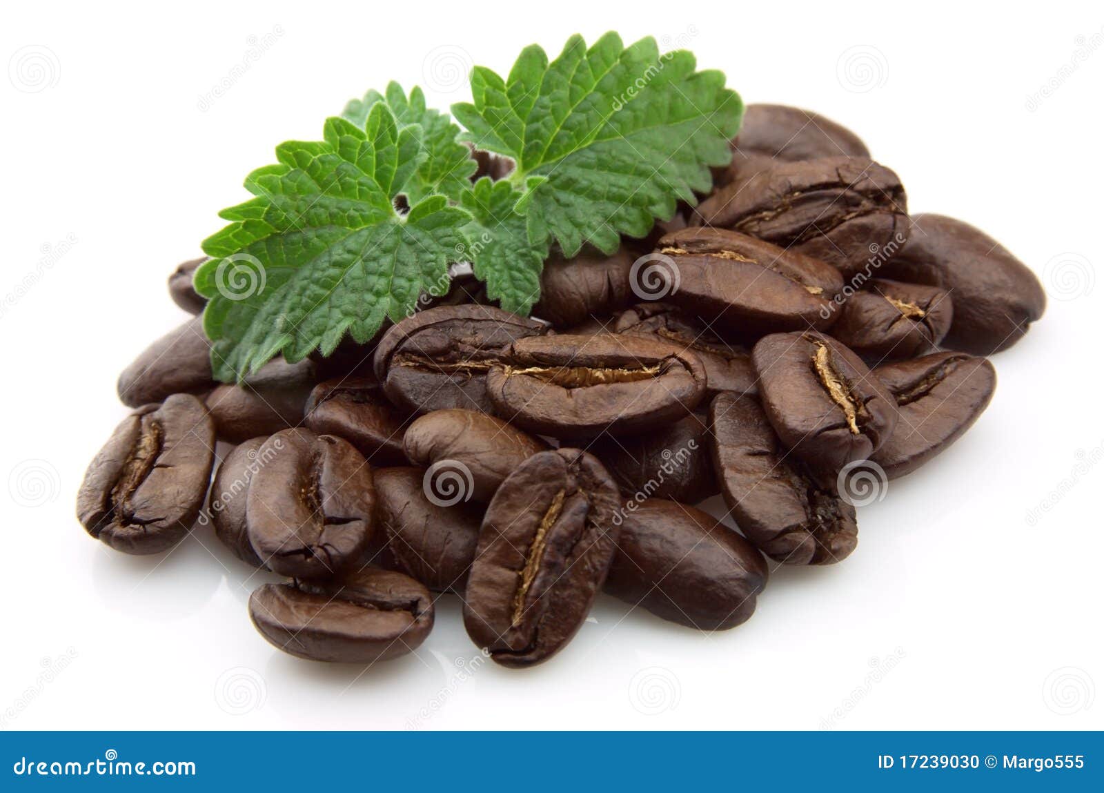 Café y menta foto de archivo. Imagen de medicina, herbario - 17239030