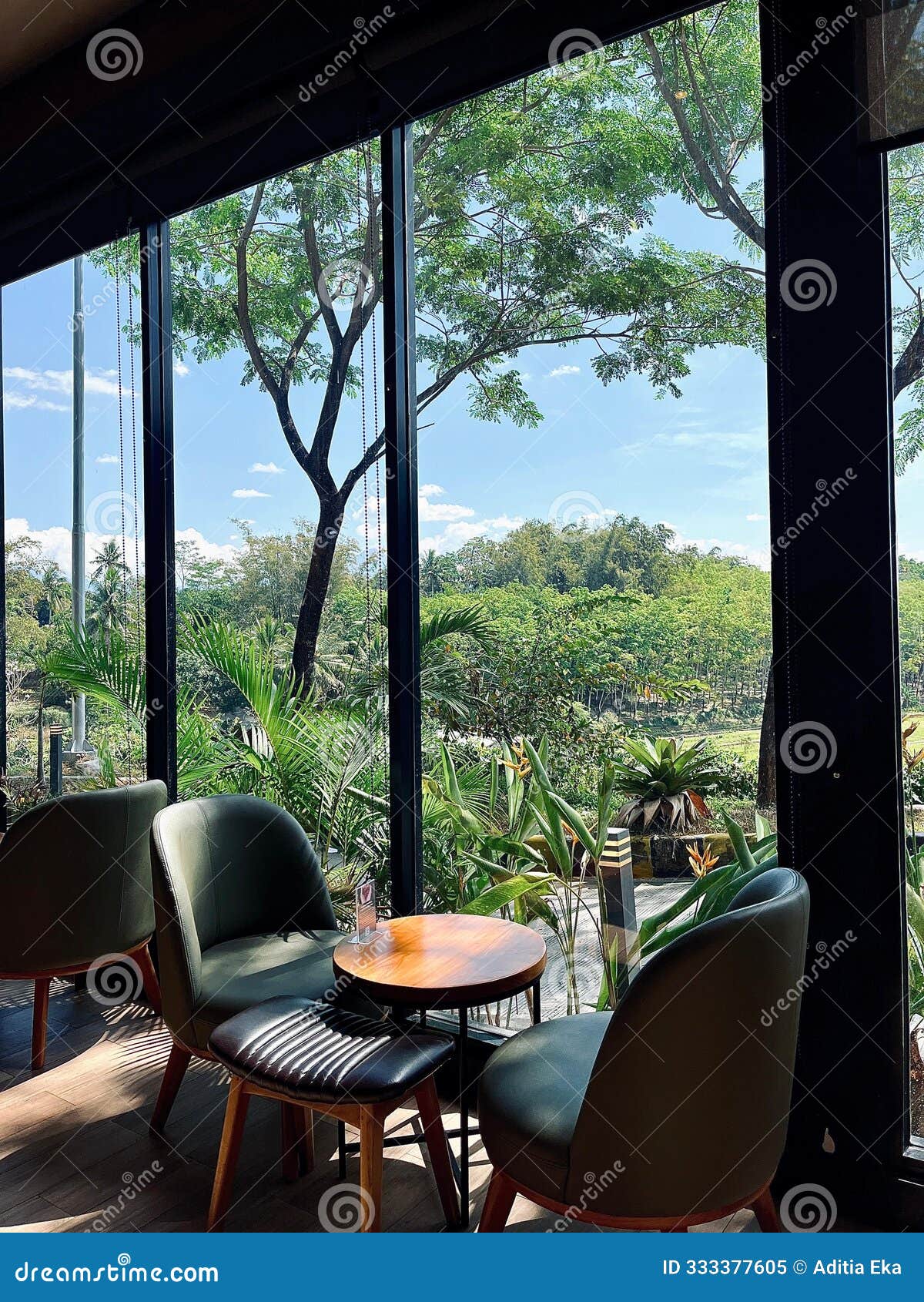 Green Scenery Inside the Cafe Stock Image - Image of view, inside ...