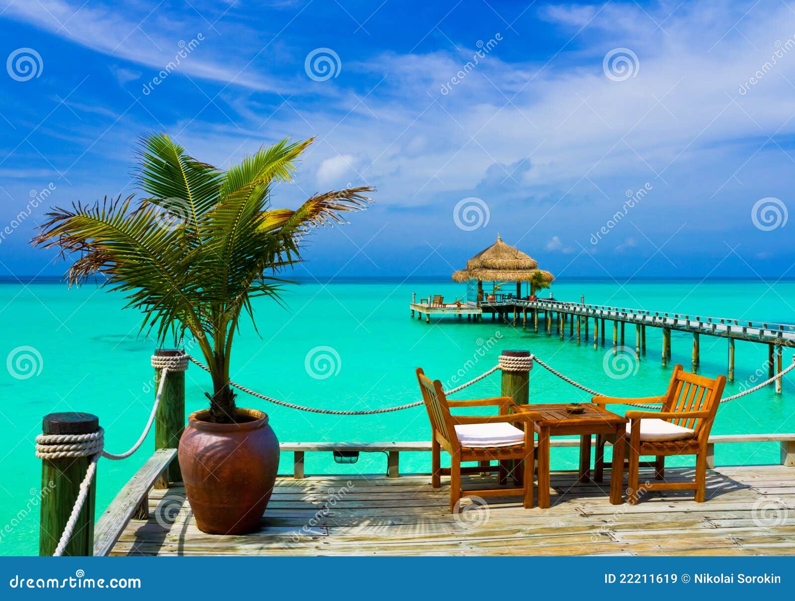 Cafe on the beach stock image. Image of palm, dining - 22211619