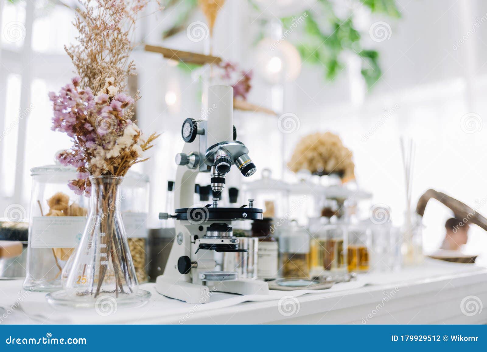 Botanic cafe design stock photo. Image of cafe, lunch - 179929512