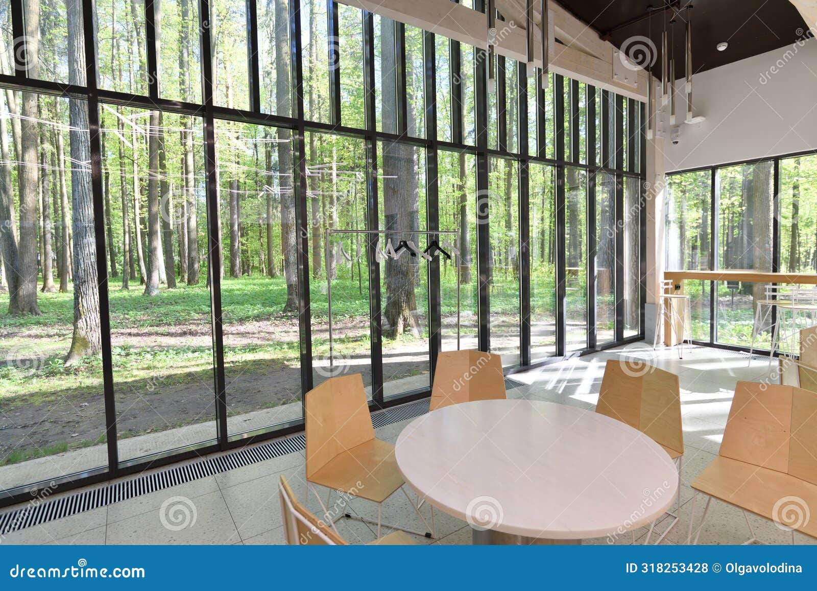 Cafe with Glass Walls and Forest Views Stock Photo - Image of light ...
