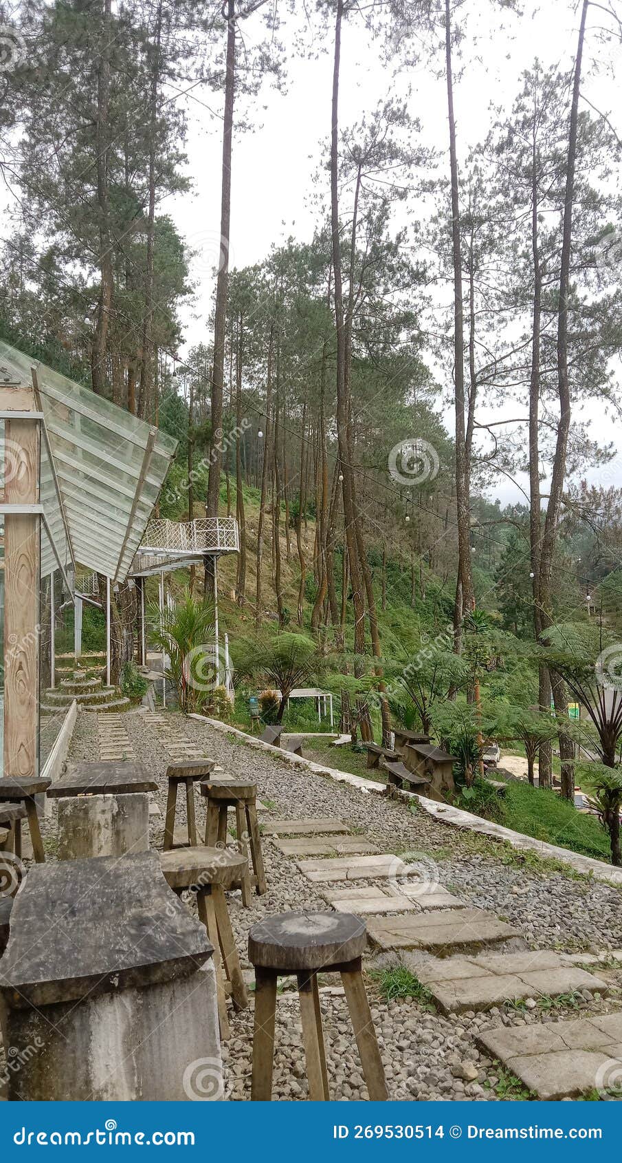 Cafe in the Middle of the Forest with a Cool and Comfortable Atmosphere ...