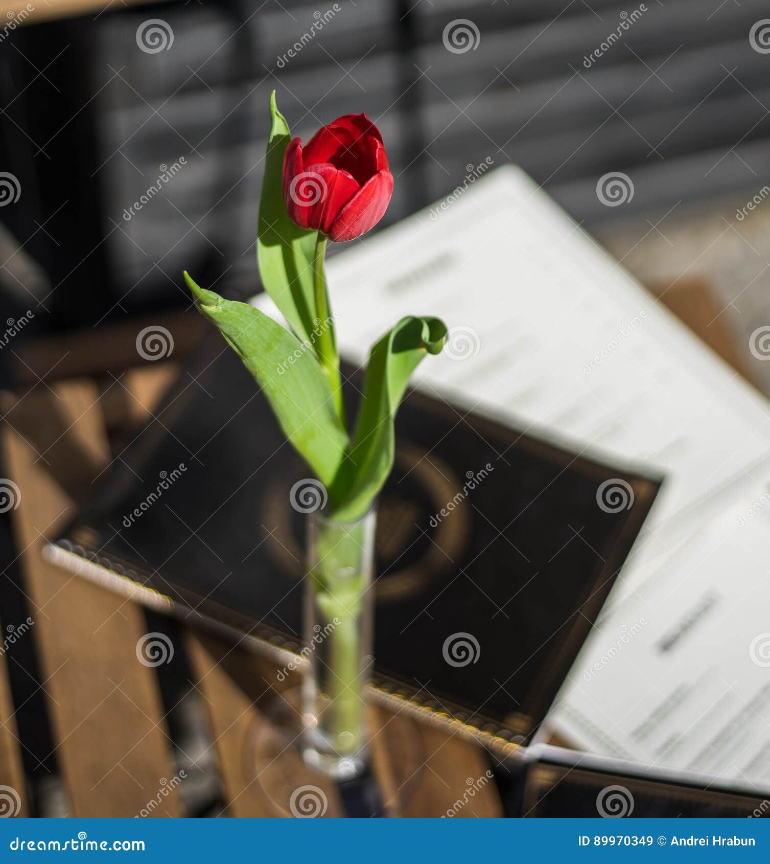 Cafe Restaurant Table with Red Tulip Stock Image - Image of lunch ...