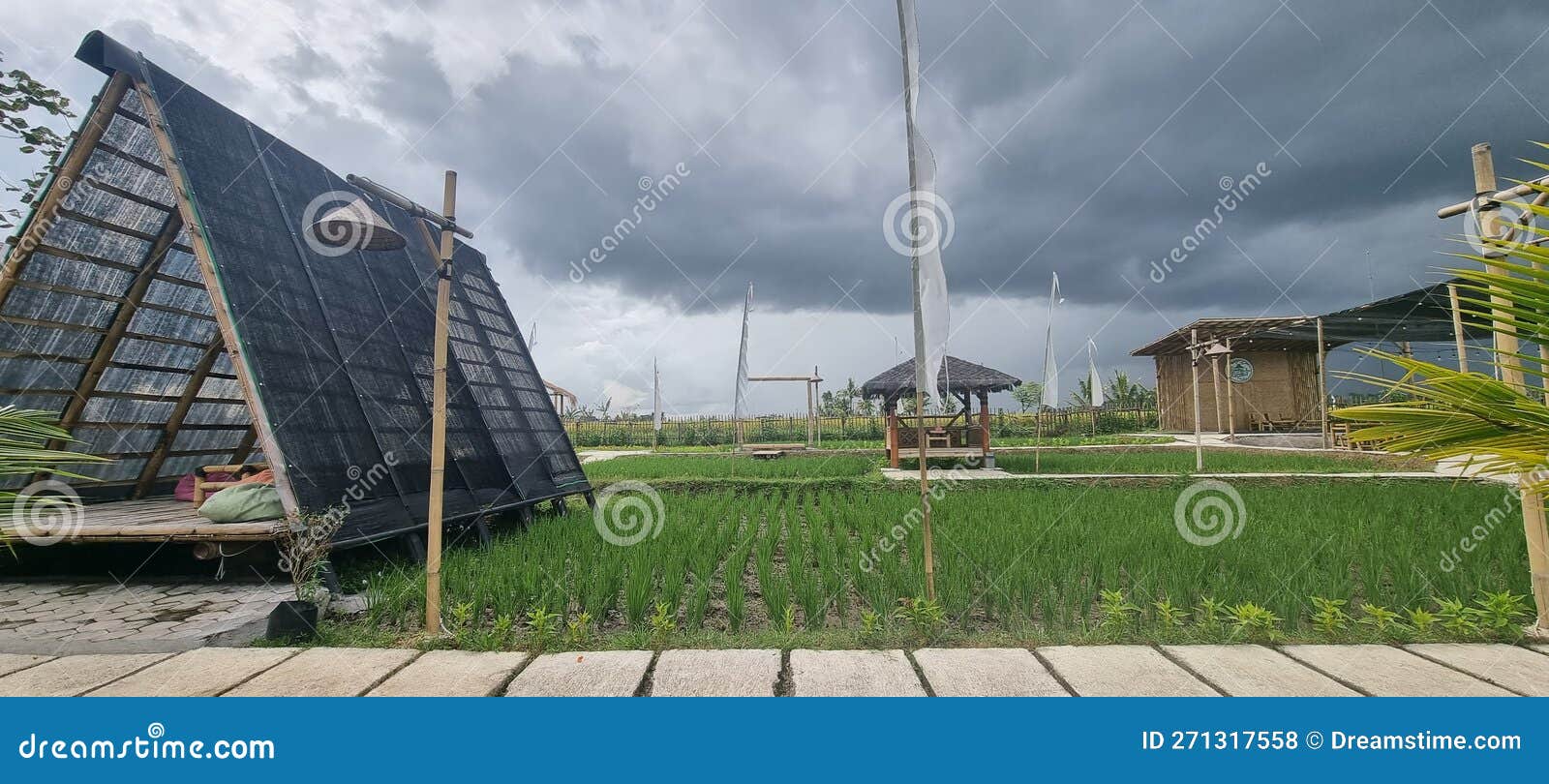 Cafe at rice field stock photo. Image of landmark, ricefield - 271317558