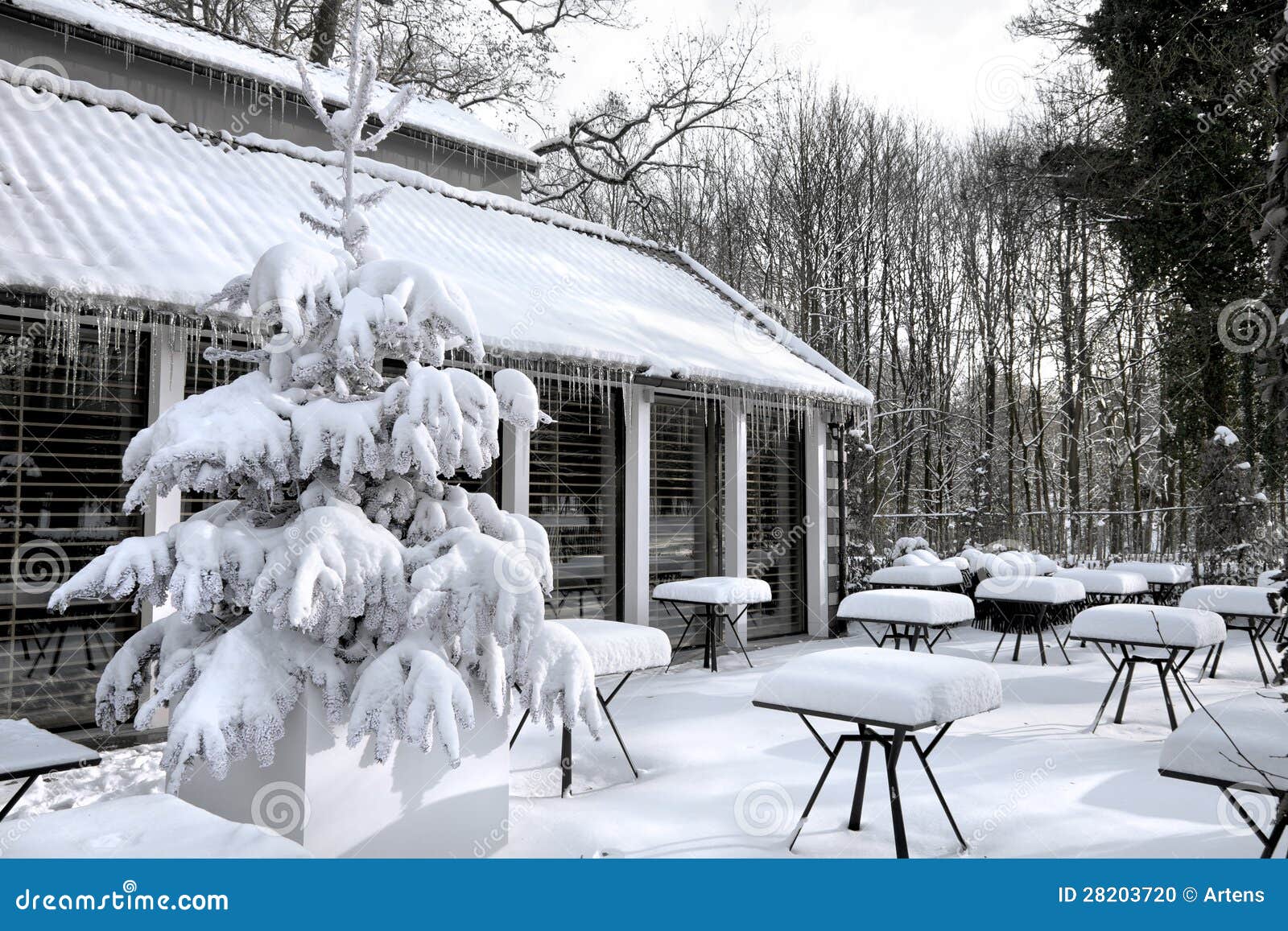 Cafe with Snow. Winter Landscaper Stock Photo - Image of still, snow ...