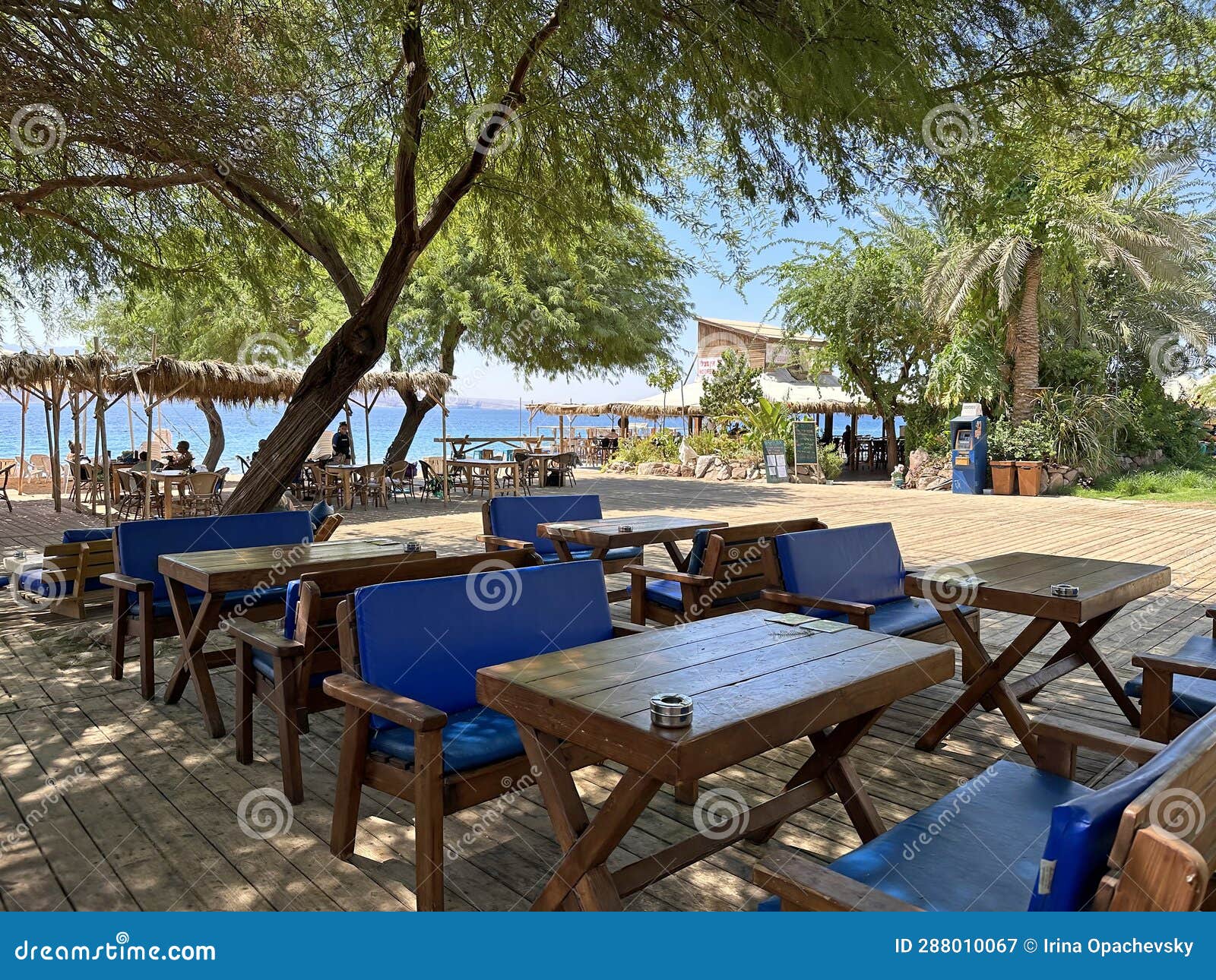 Cafe Tables Under the Trees on Dekel Beach Stock Image - Image of ...