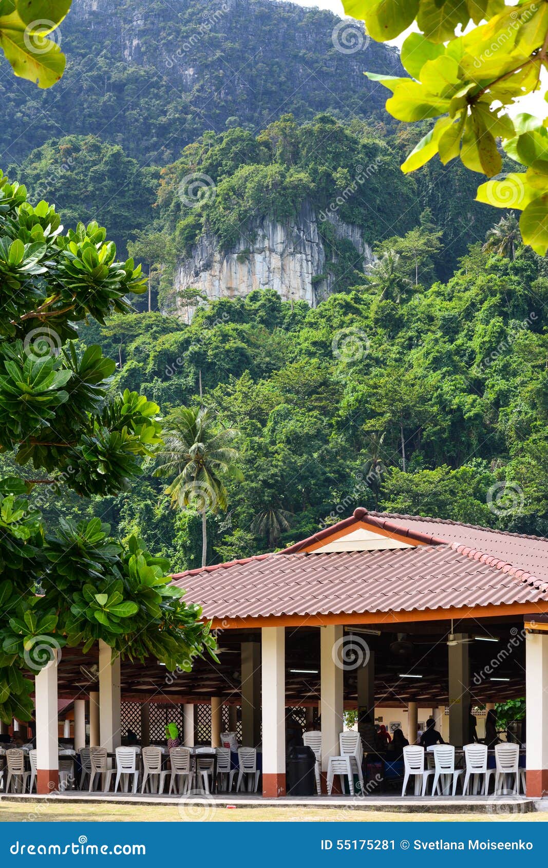 Cafe at tropic jungle stock image. Image of trees, restaurant - 55175281
