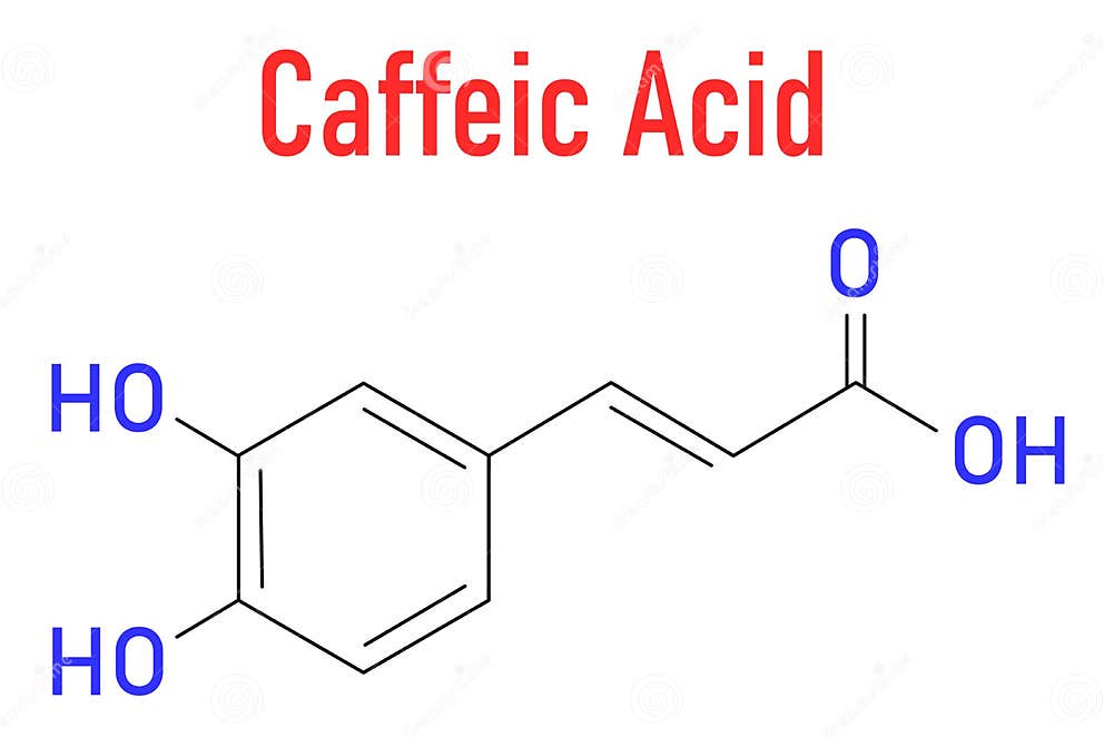 Caffeic Acid Molecule Skeletal Formula. Intermediate in the ...