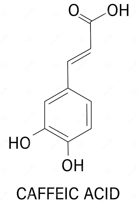 Caffeic Acid Molecule Skeletal Formula. Intermediate in the ...