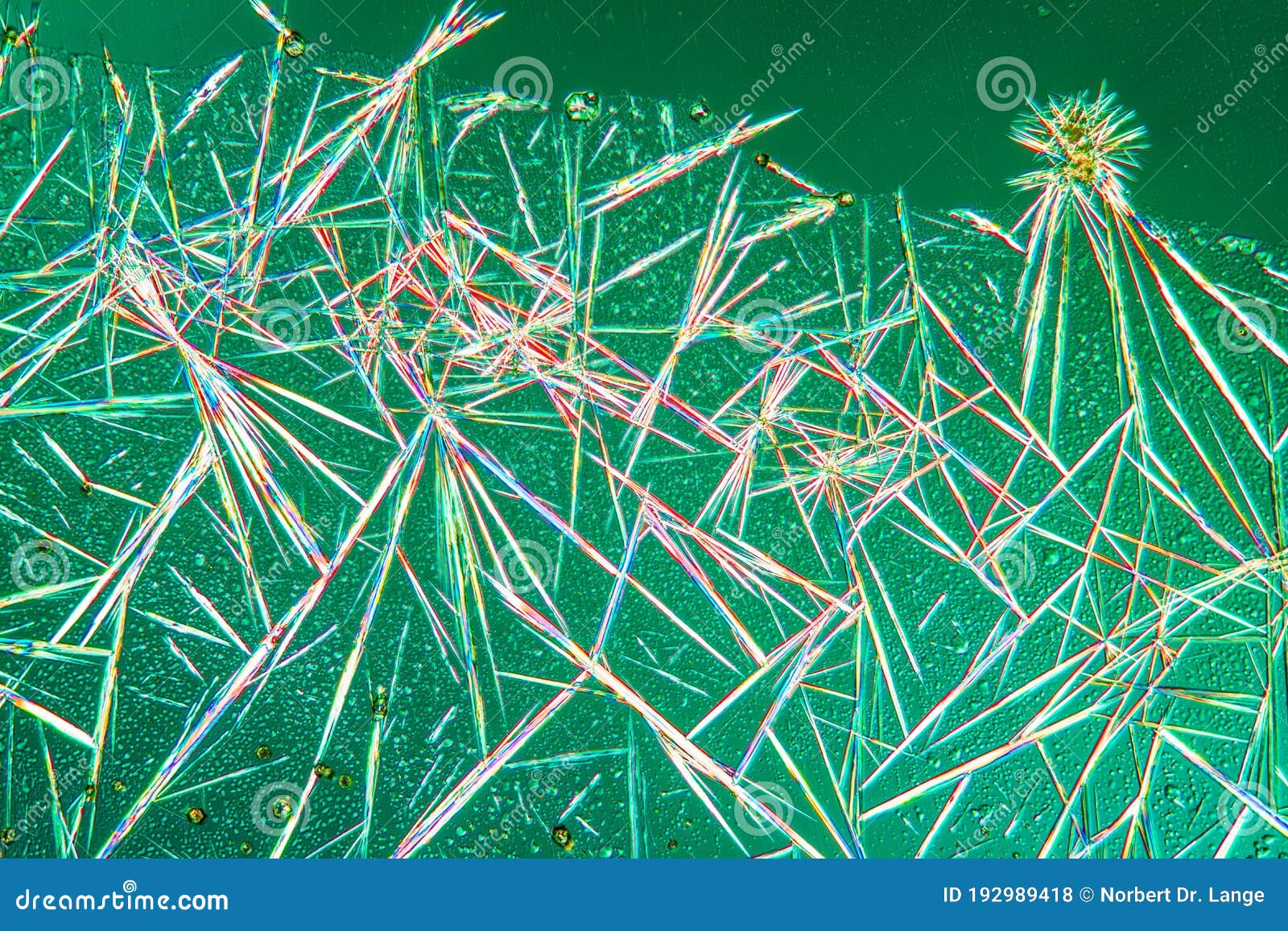 Caffeine Crystals in Polarized Light Stock Photo - Image of microscopy ...