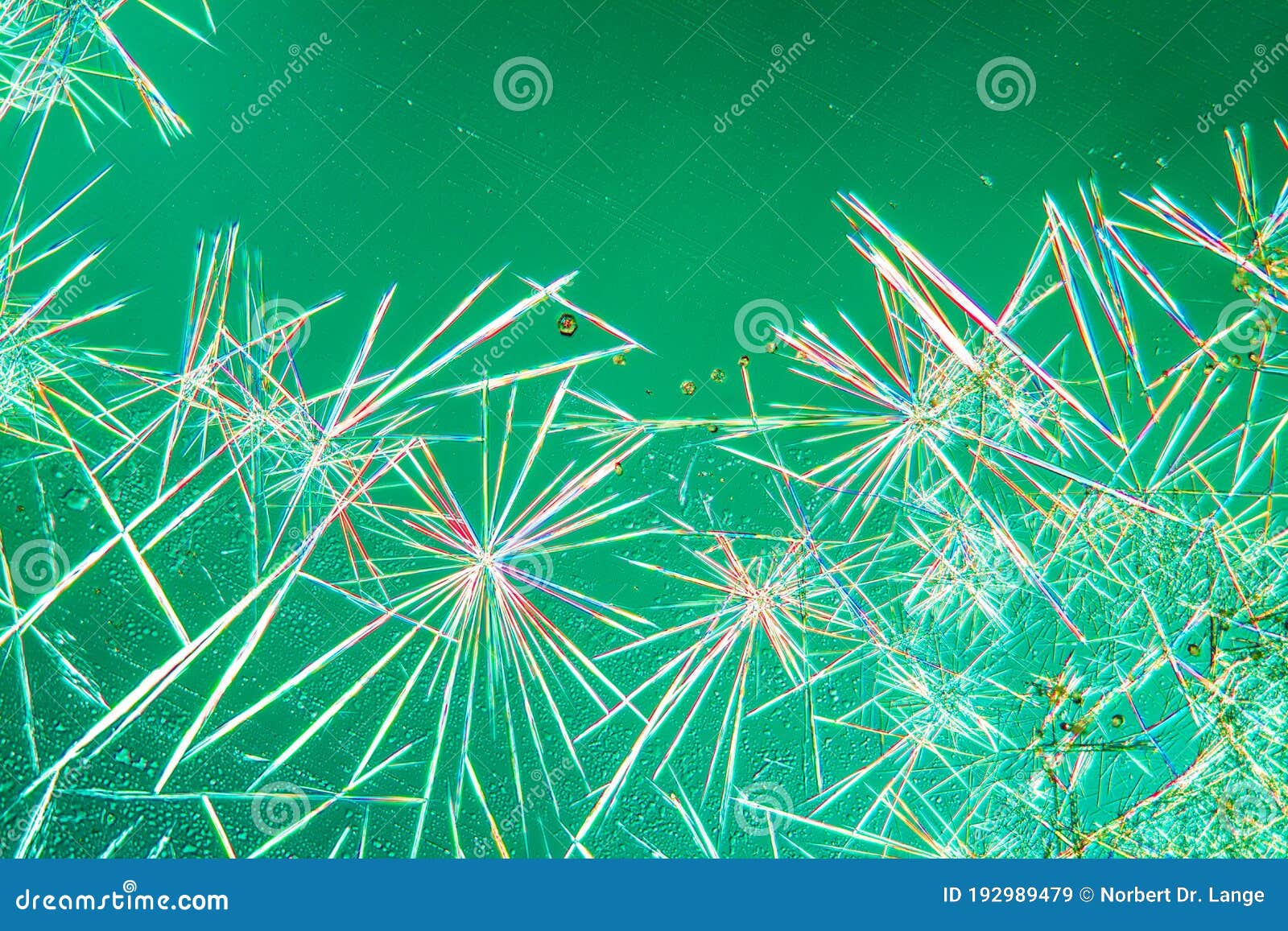 Caffeine Crystals in Polarized Light Stock Image - Image of science ...