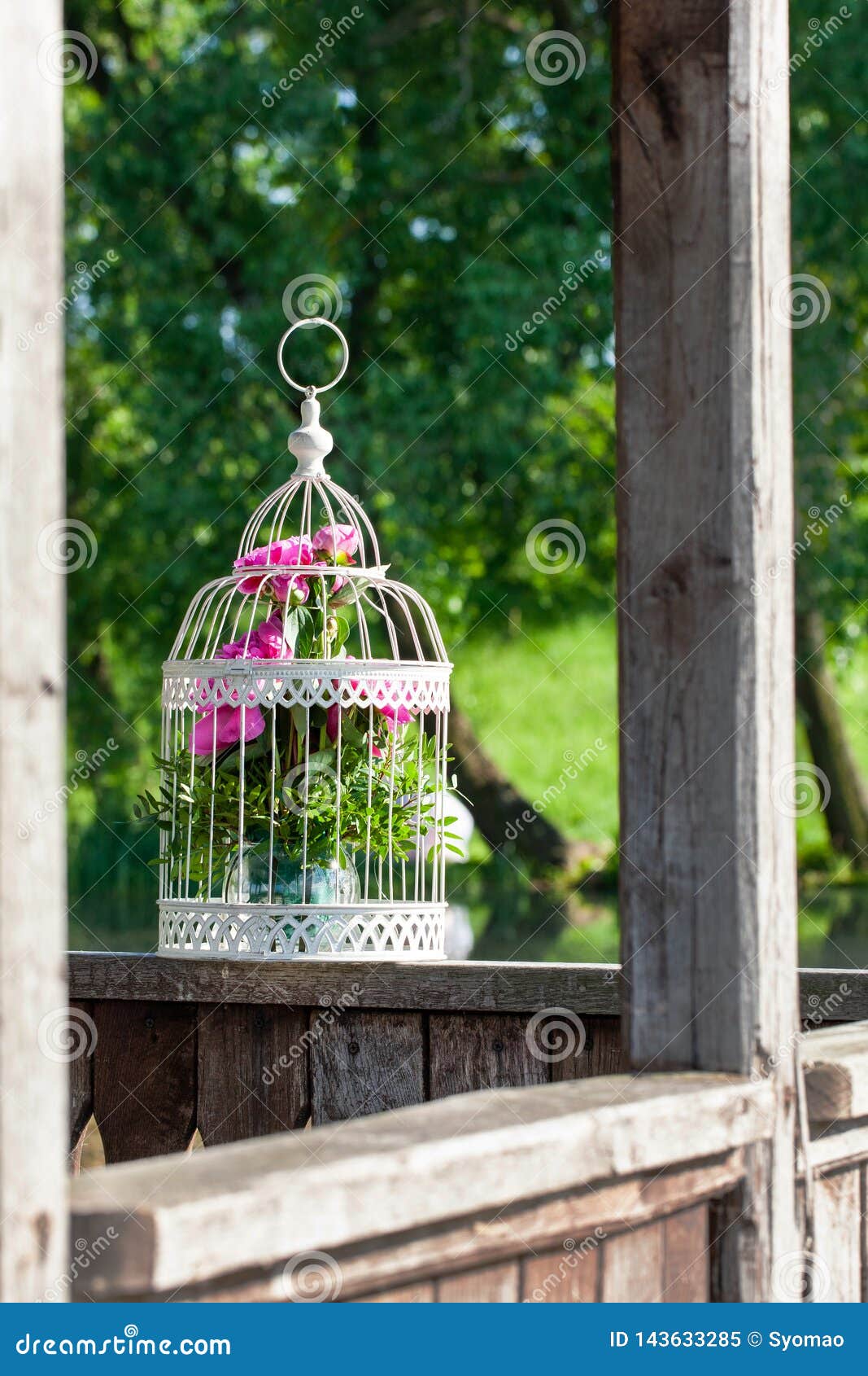 Cage with Beautiful Flowers Outdoors Stock Image - Image of decor ...