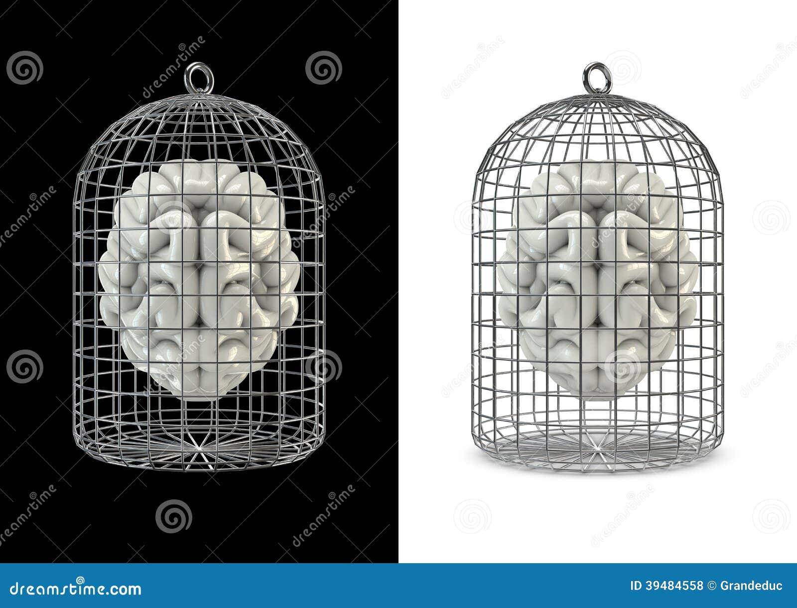 Cage brain stock illustration. Illustration of brain - 39484558