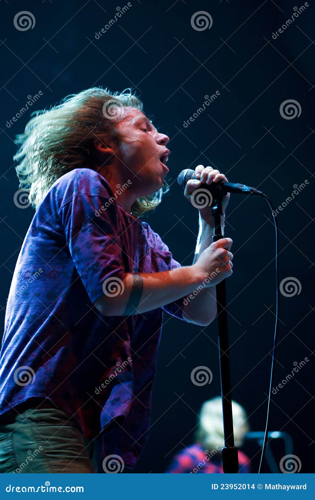 Cage the Elephant editorial stock image. Image of cage - 23952014