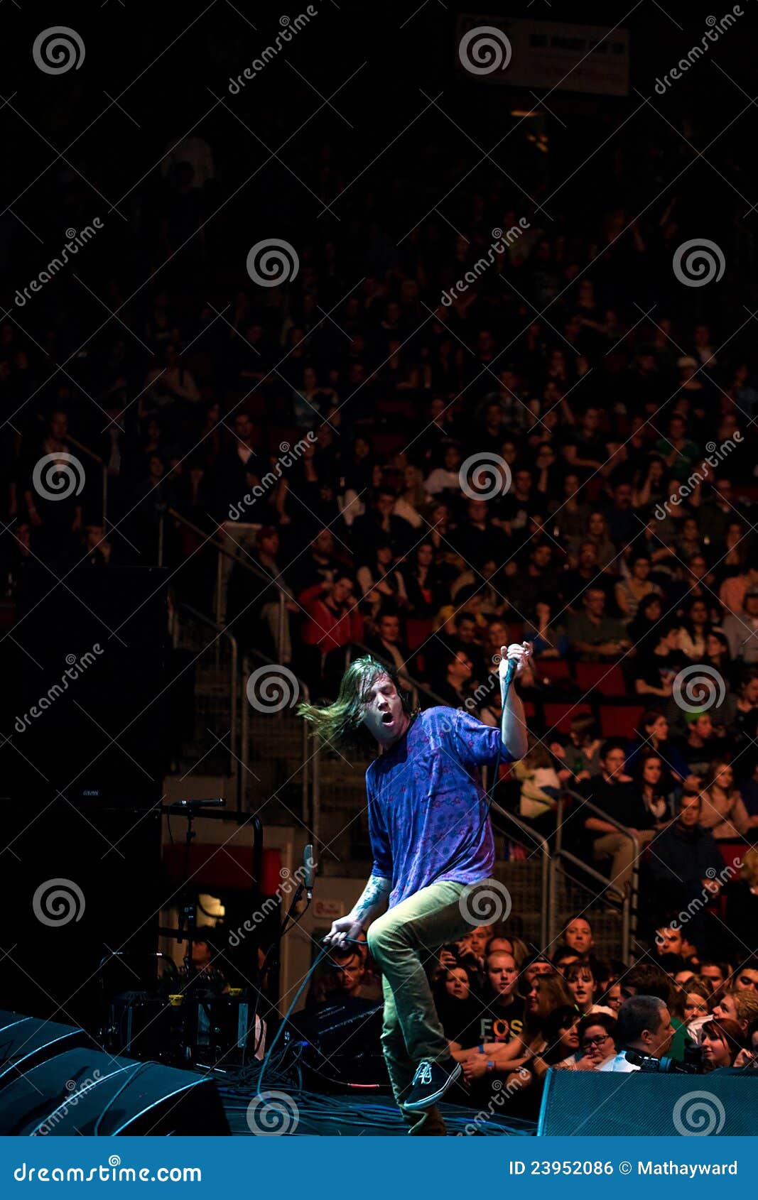 Cage the Elephant editorial photo. Image of rocker, shultz - 23952086