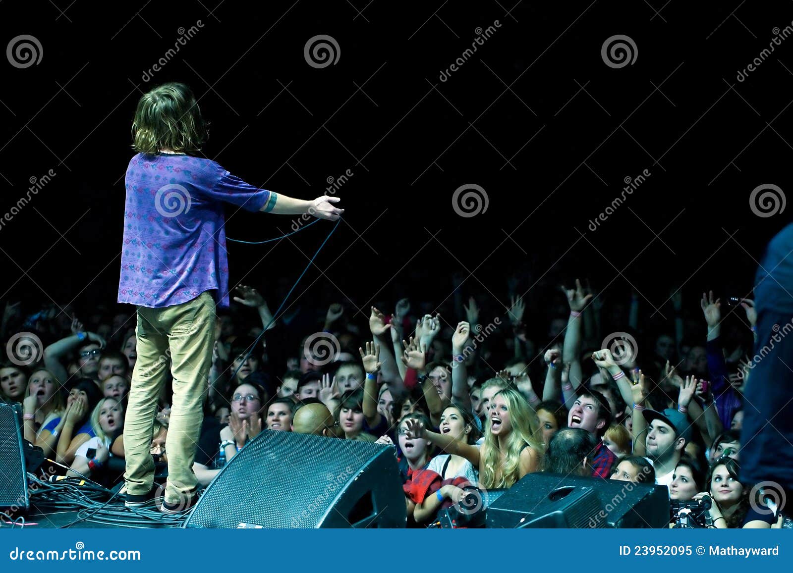 Cage the Elephant editorial image. Image of elephant - 23952095
