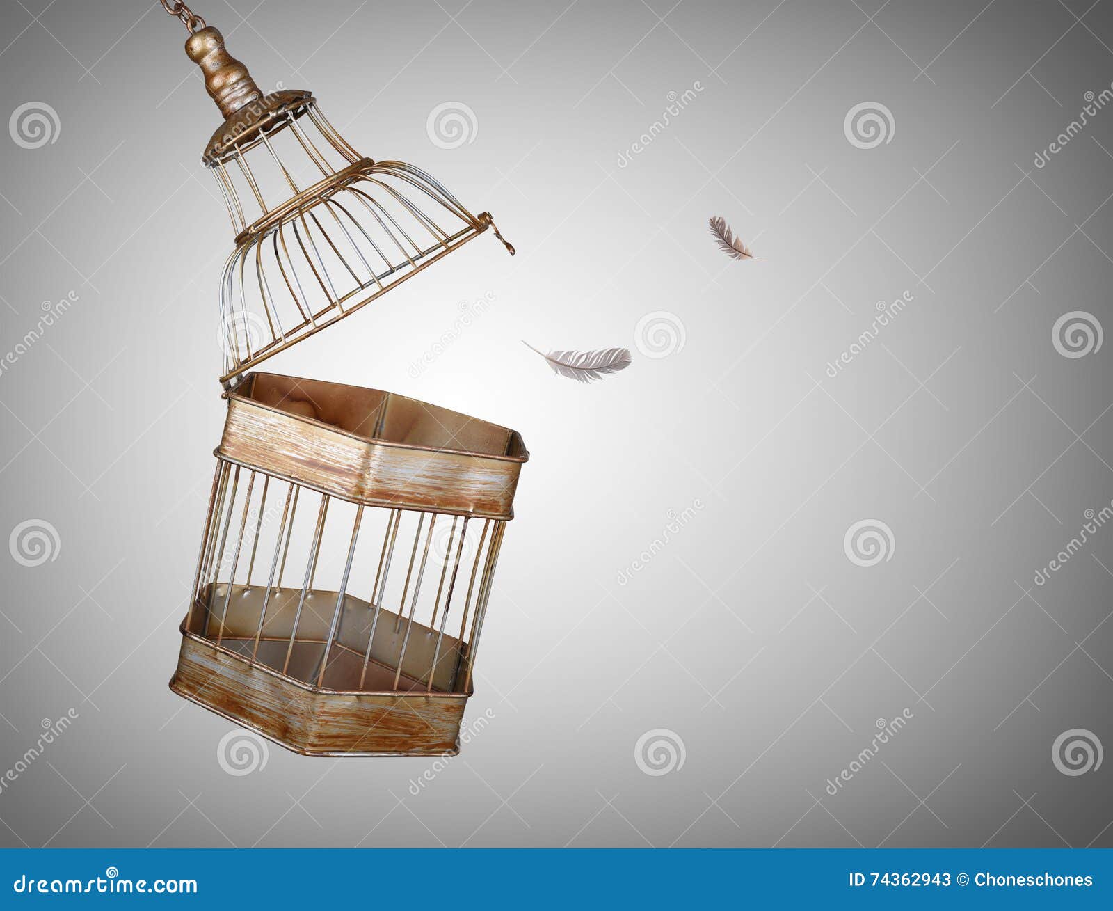 Cage stock image. Image of escaping, door, arrest, cage - 74362943