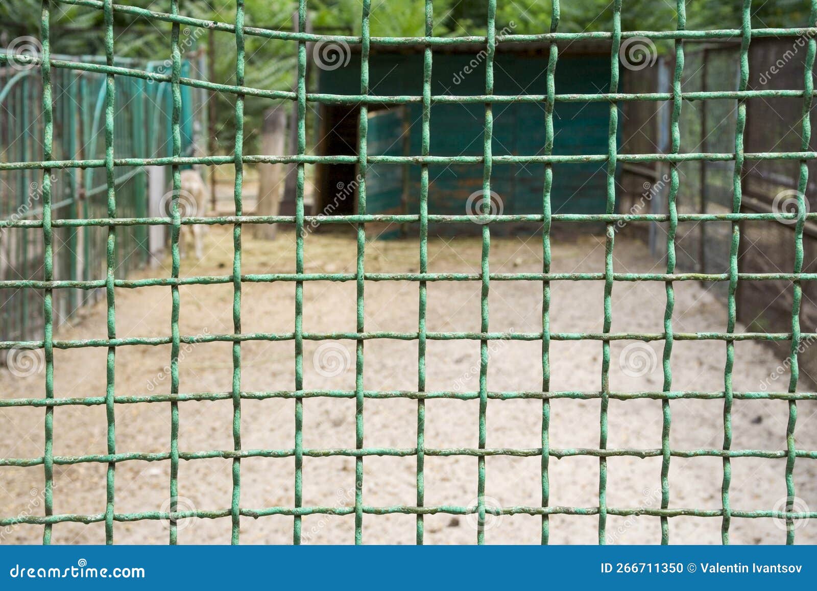 Cage Fencing in the Zoo in the Form of a Lattice Stock Photo - Image of ...