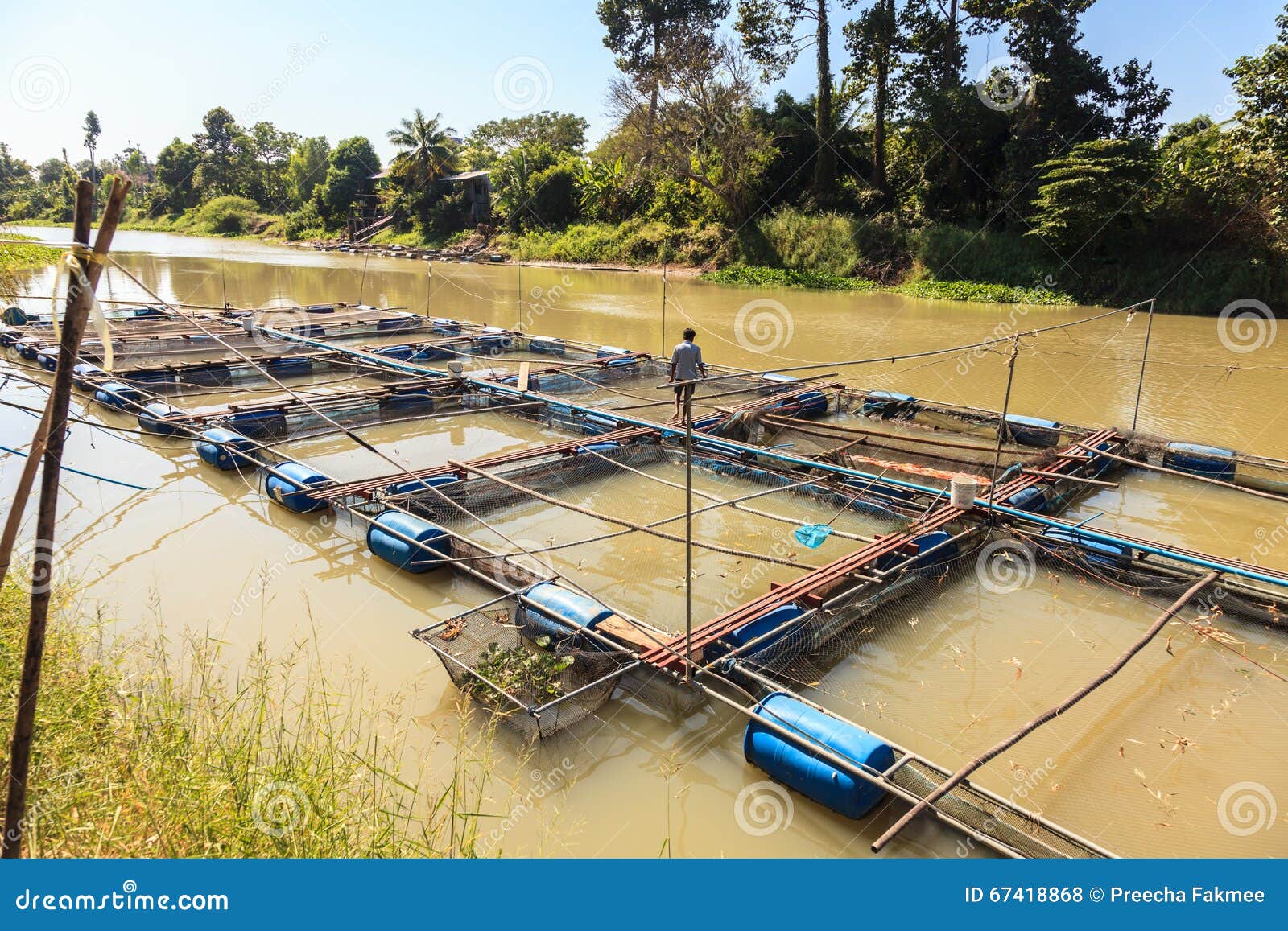 Cage fish farming stock photo. Image of home, riverside - 67418868