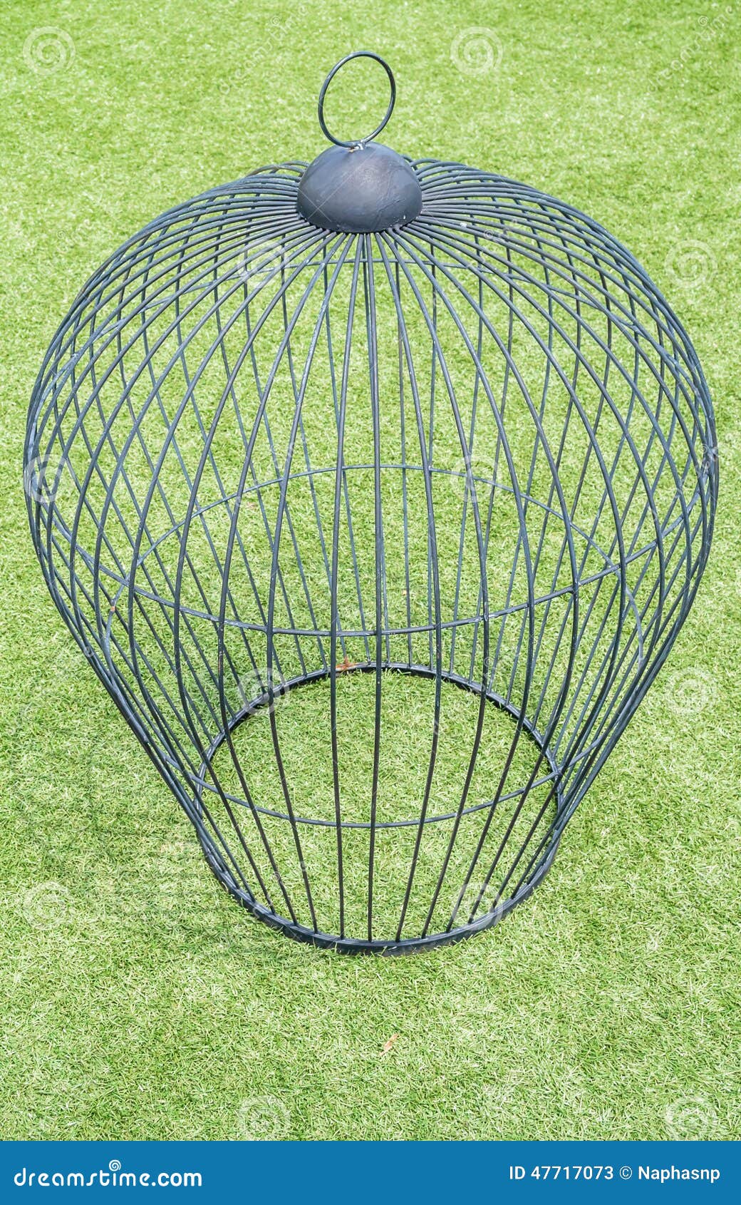 Cage on the lawn stock image. Image of decorative, gardening - 47717073