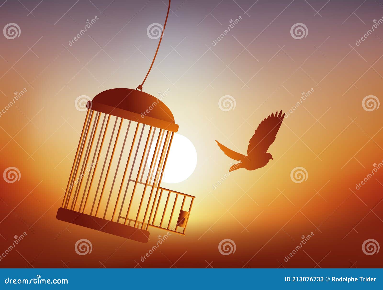 Freedom Bird Cage