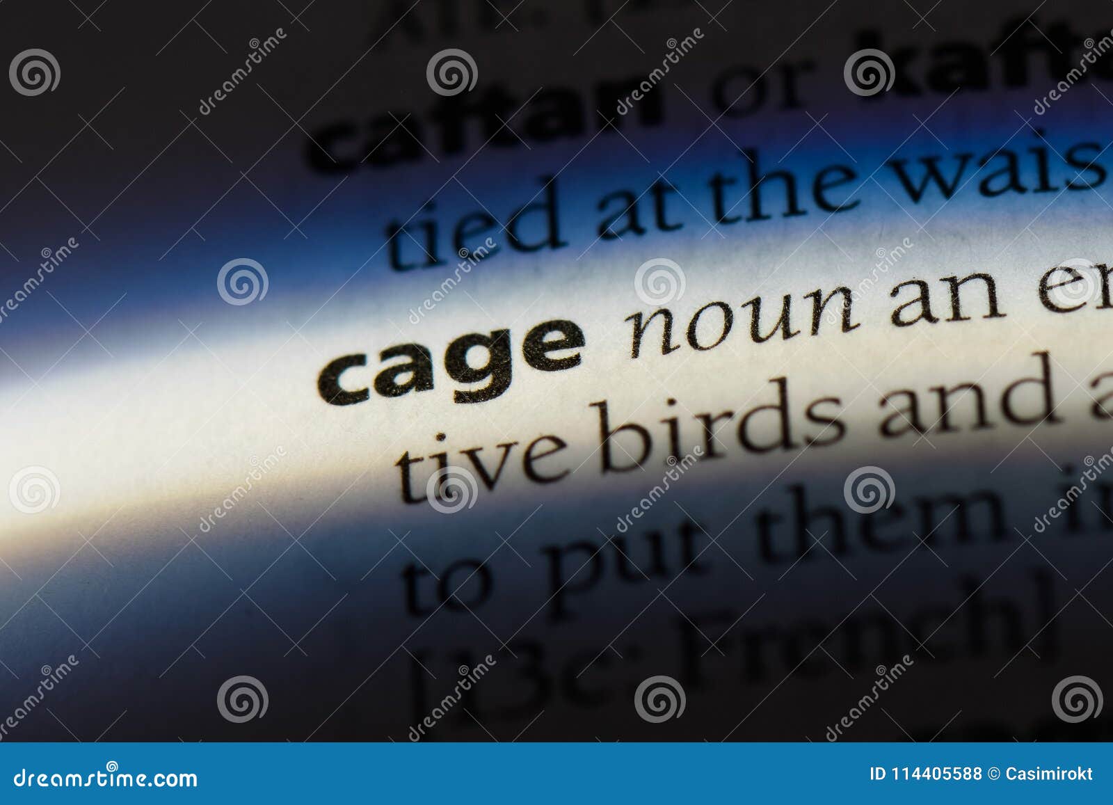 Cage stock photo. Image of writing, concept, definition - 114405588