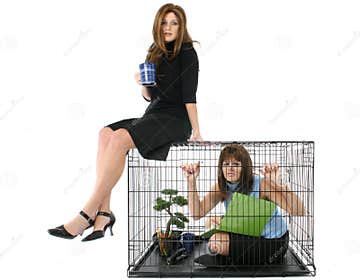 Caged stock image. Image of internet, tired, laptop, stuck - 1687903