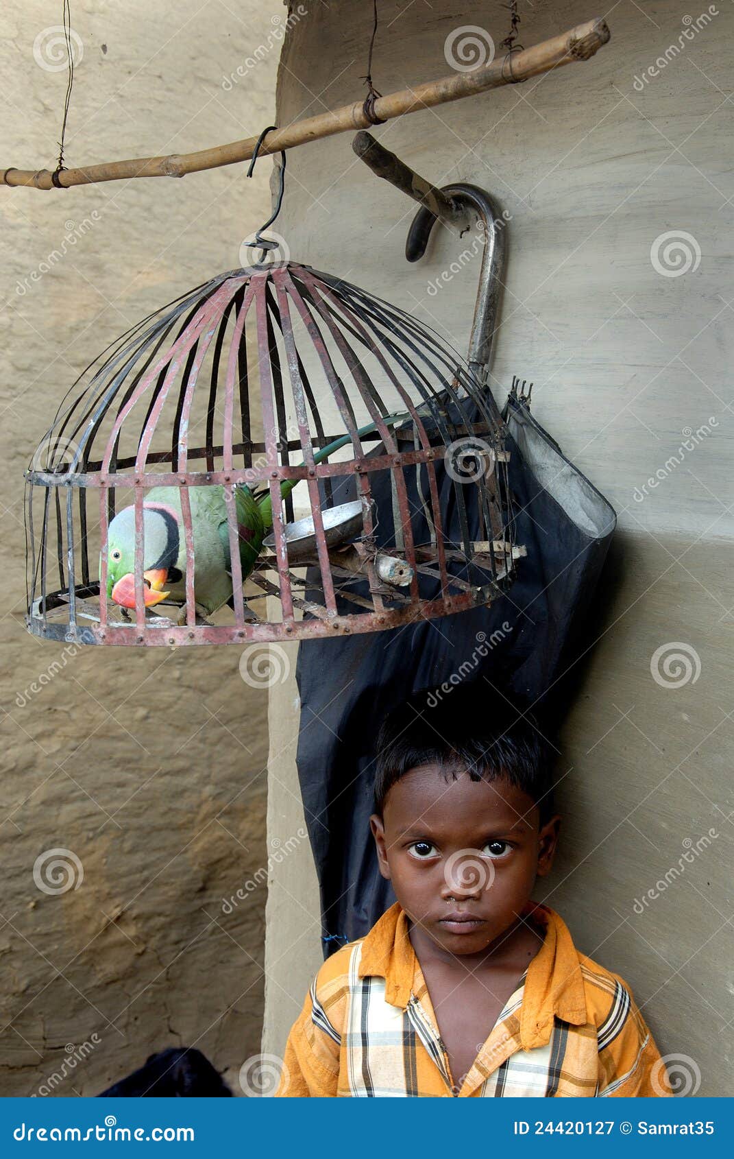 Caged Bird editorial photography. Image of people, look - 24420127