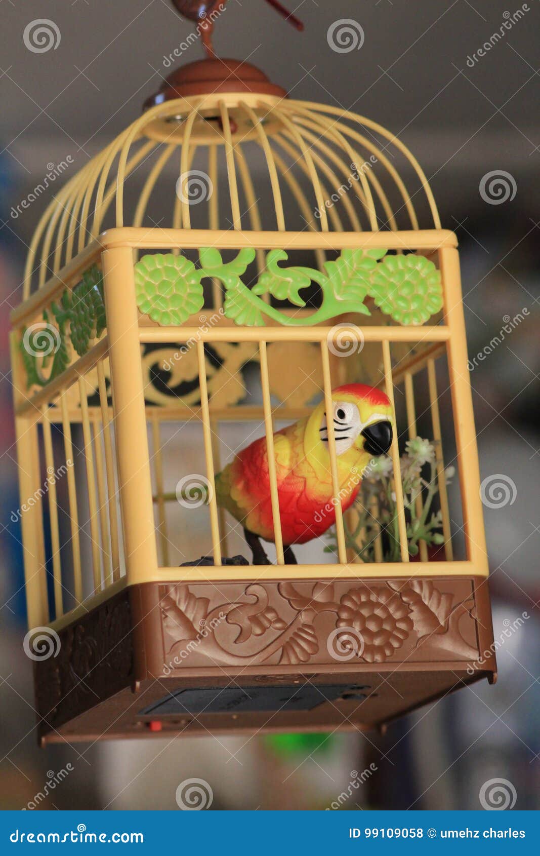 Caged bird stock photo. Image of caged, bird, indoor - 99109058