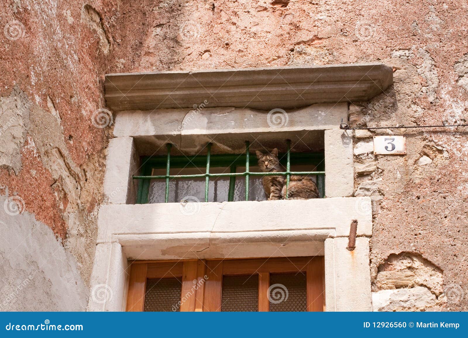 Caged Cat stock photo. Image of stone, texture, entrance - 12926560