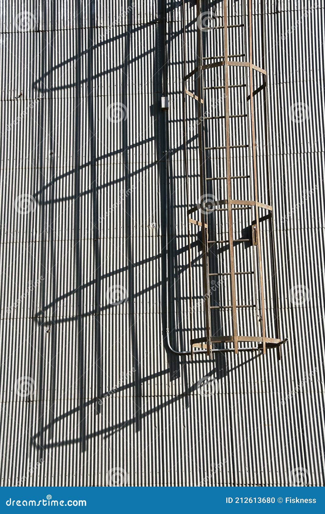 Caged Ladder Royalty-Free Stock Photography | CartoonDealer.com #10608191