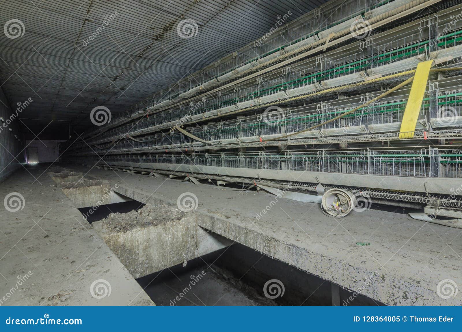 Cages in a Factory with Cellar Stock Image - Image of protection ...