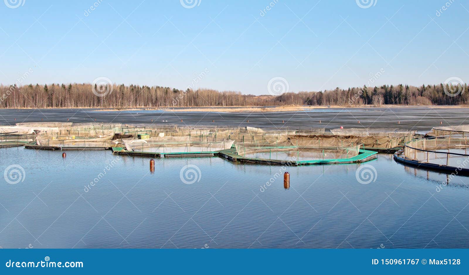 Cages for Fish Breeding in Spring. Fish Farming Stock Image - Image of ...