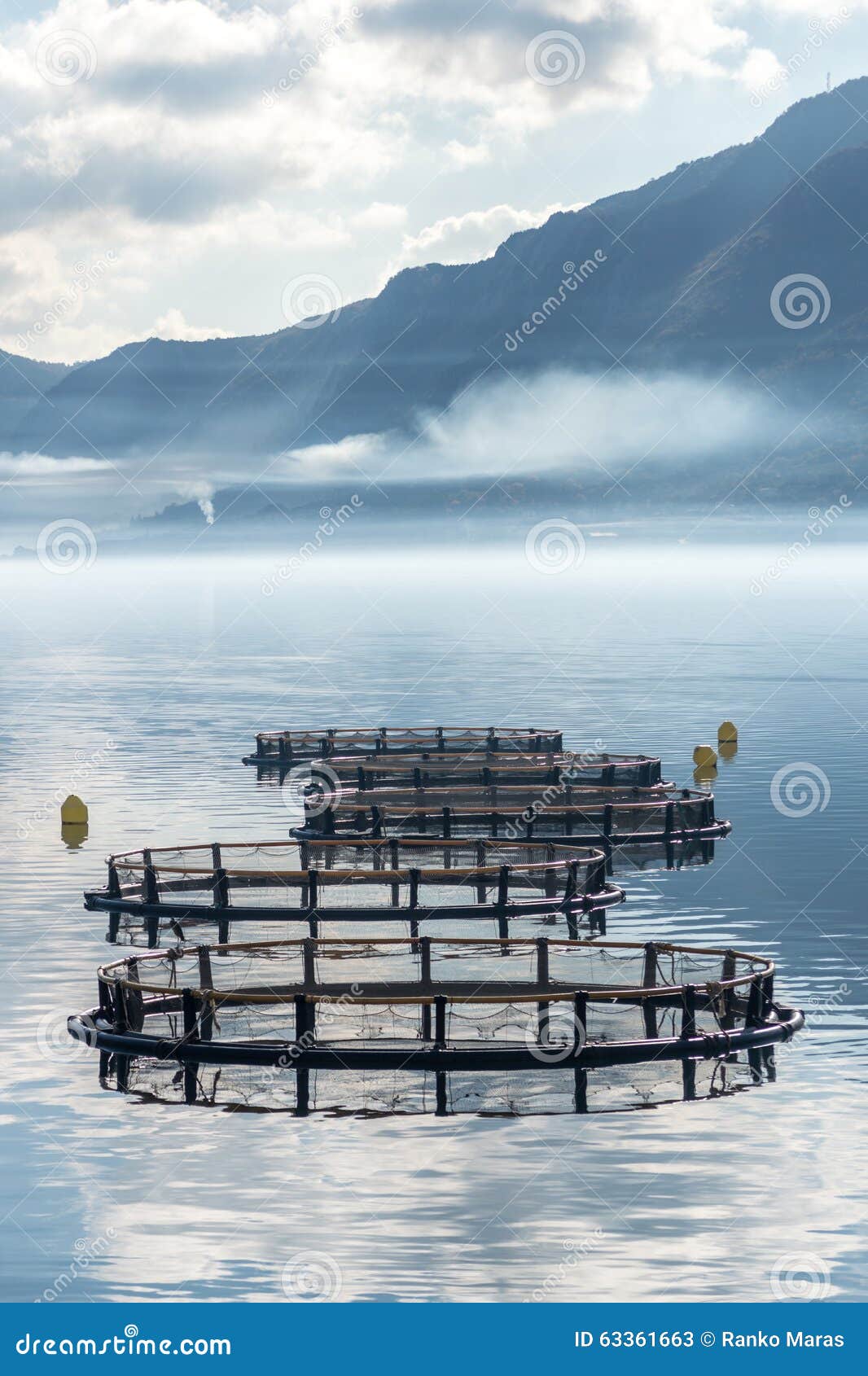 Cages for fish farming stock image. Image of agriculture - 63361663